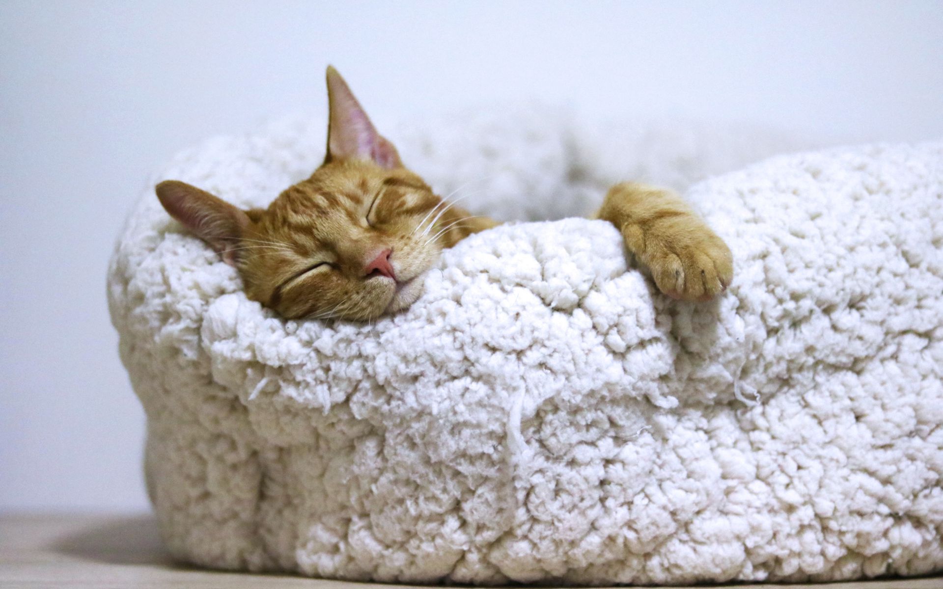 21-Day Sleep Challenge: Proven Tips to Improve Sleep Quality - Daybreak ...